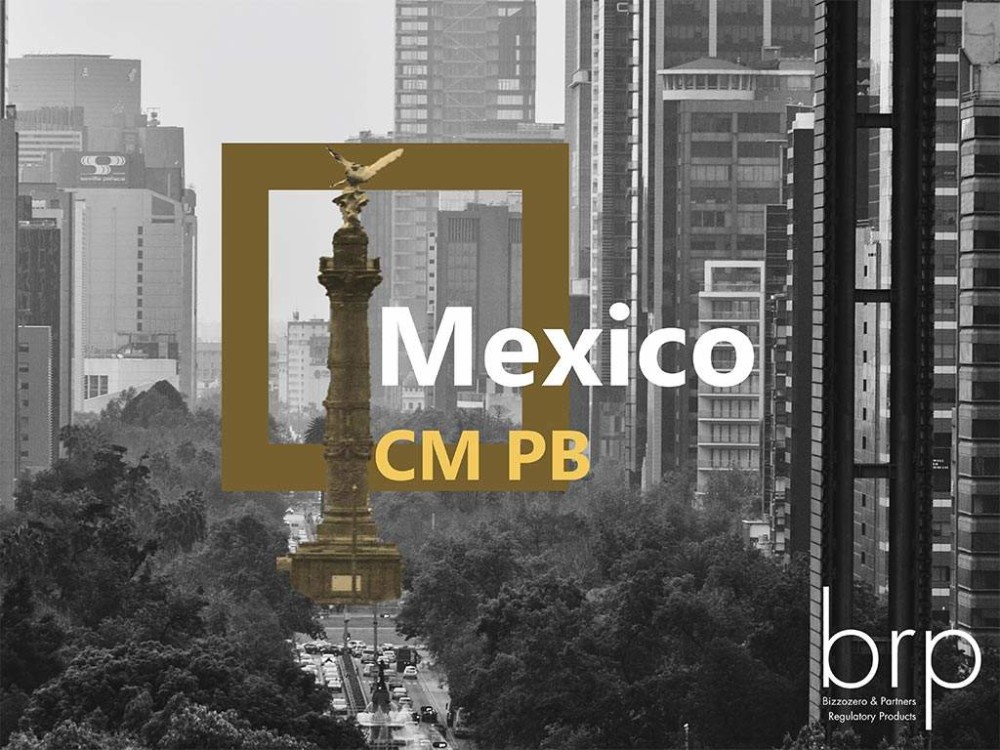 Country Manual Private Banking Update 2024: Mexico