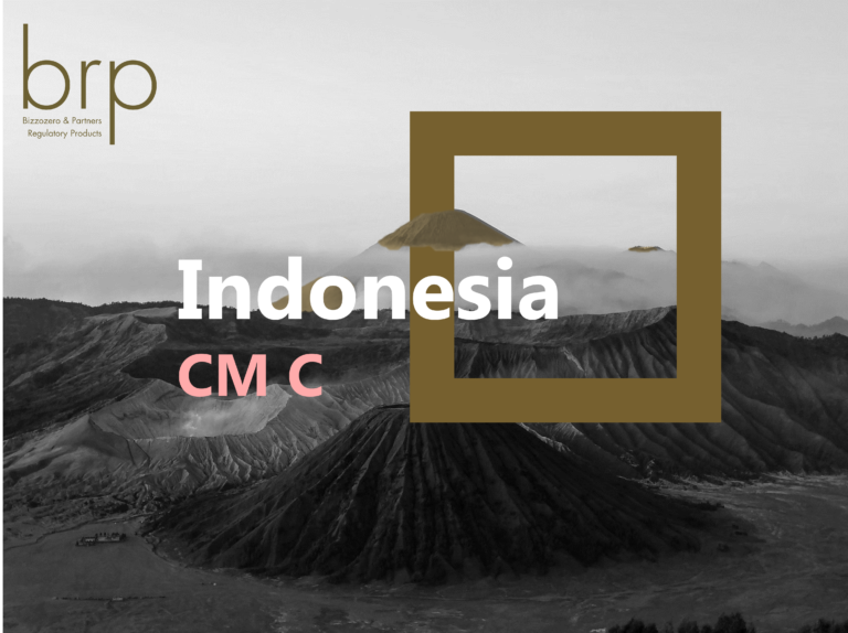 Indonesia - CM C - Update 2022 - BRP