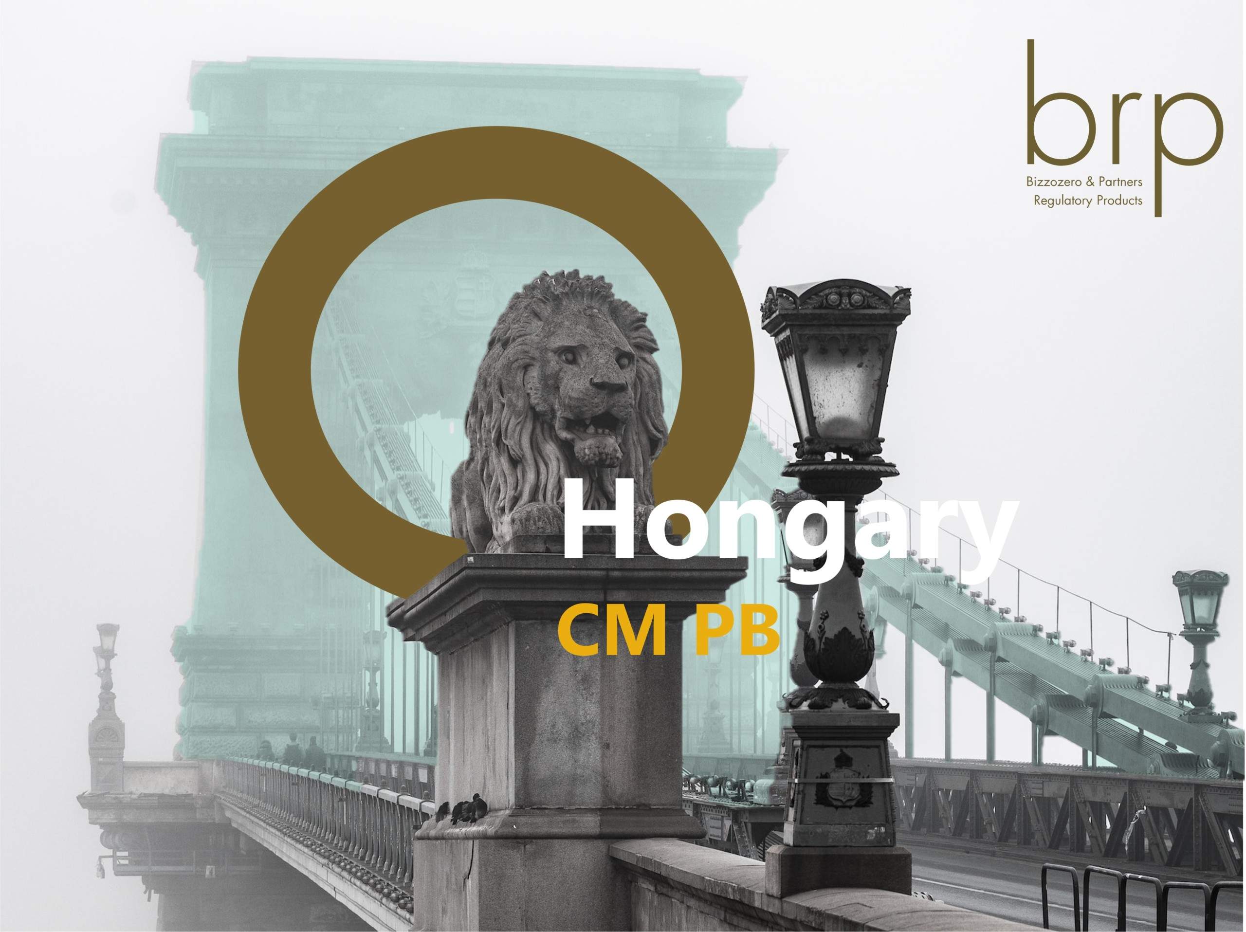 BRP - CM Private Banking Hungary Review and Updates