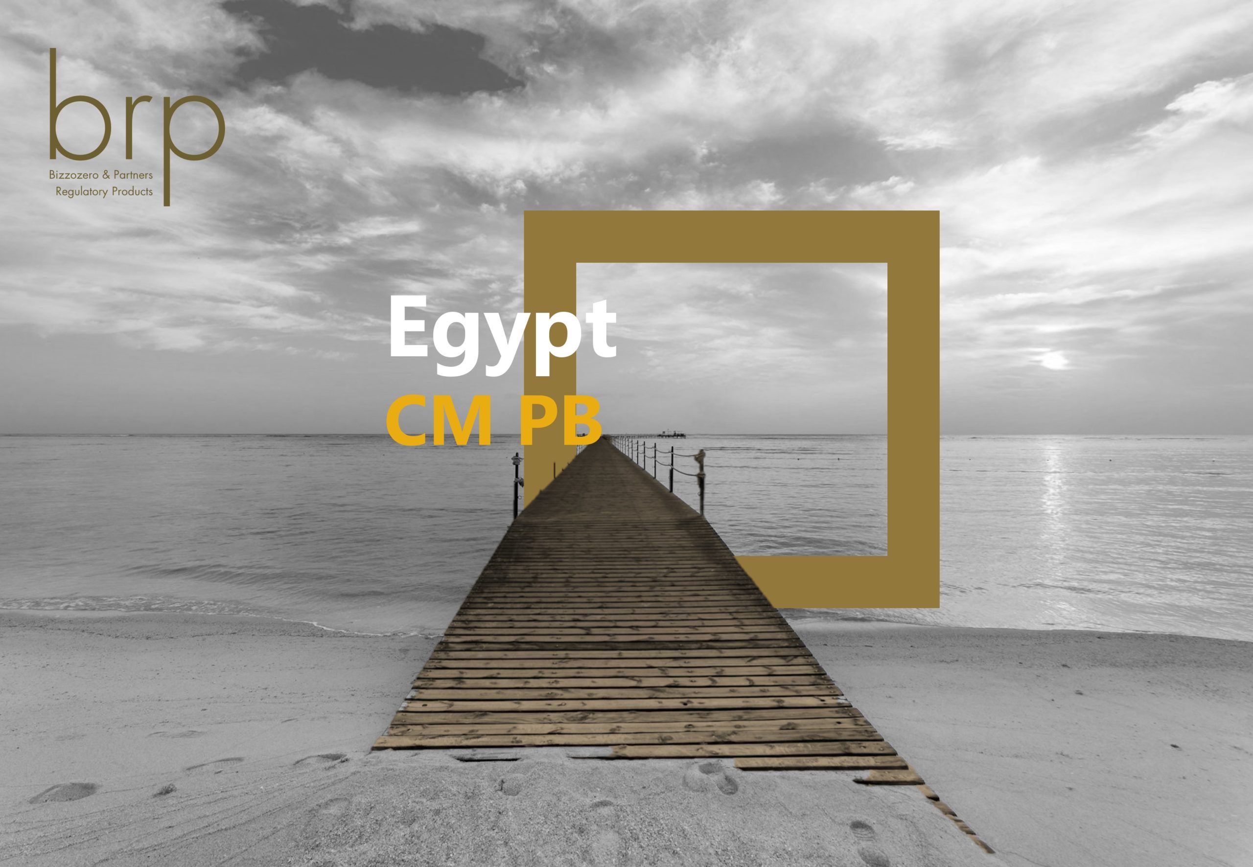 BRP - CM Private Banking Egypt