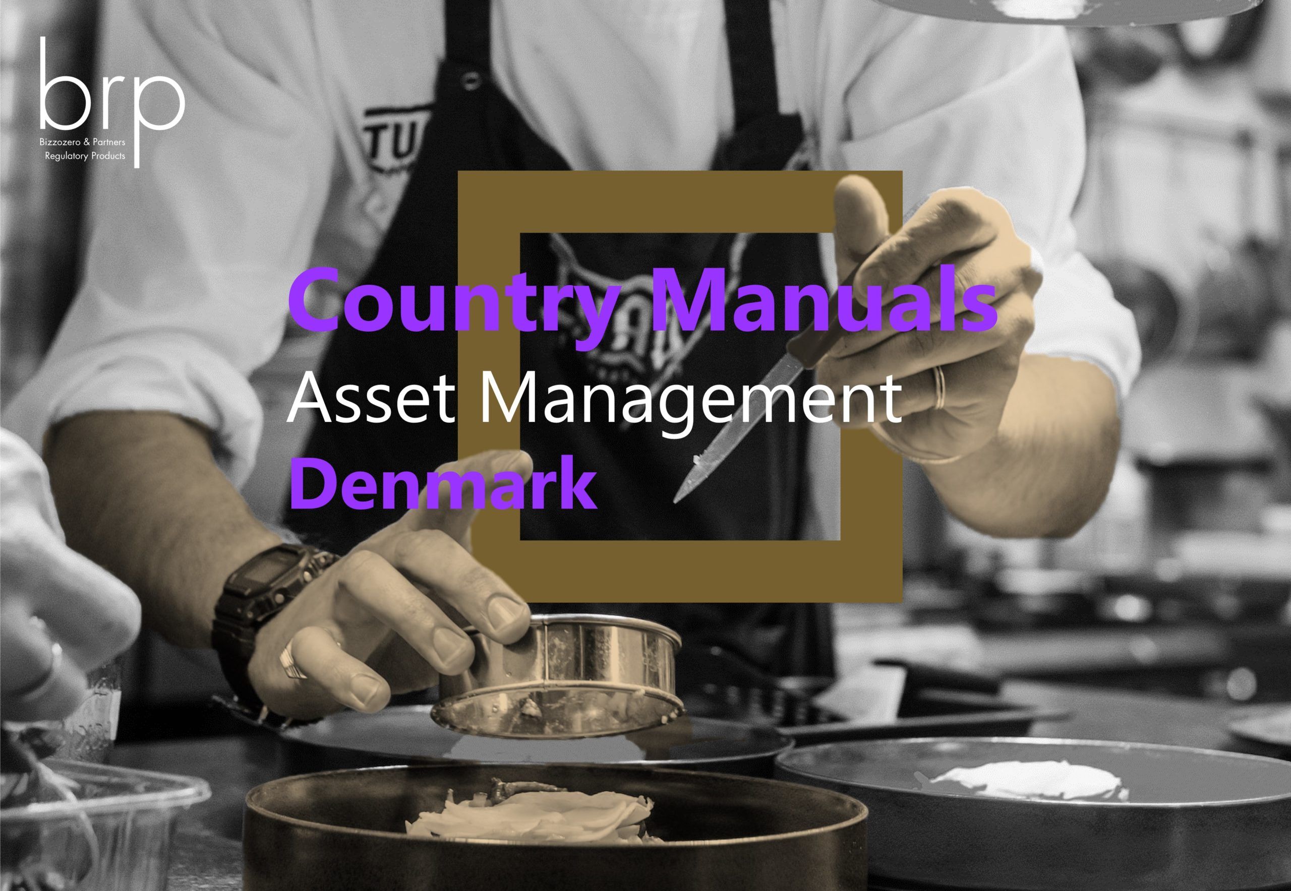 The Impact of Denmark BRP Asset Management